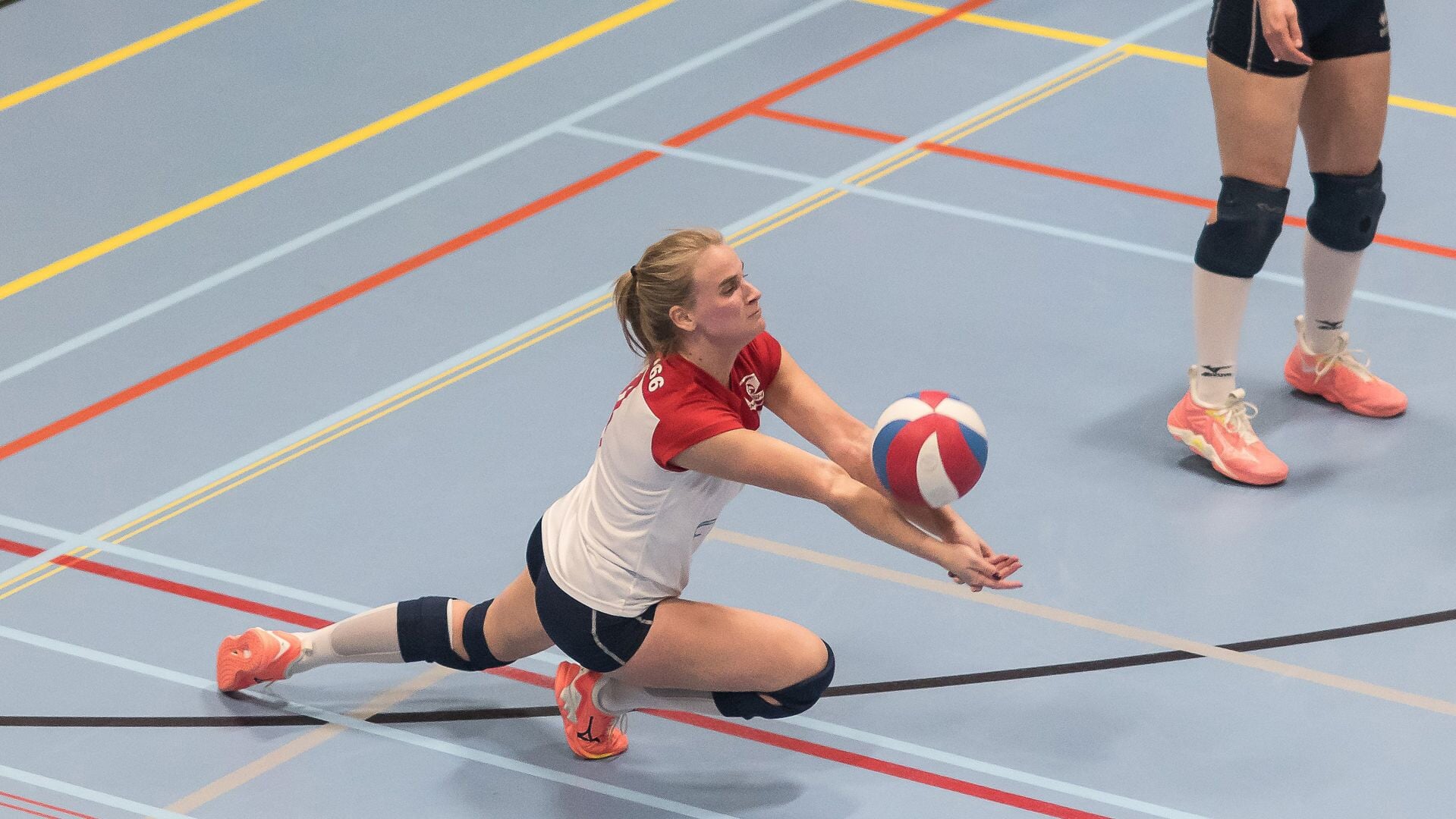 Dames 1 Smash ’66 boekt belangrijke overwinning | Al het nieuws uit ... Dames 1 Smash ’66 boekt belangrijke overwinning | Al het nieuws uit ...