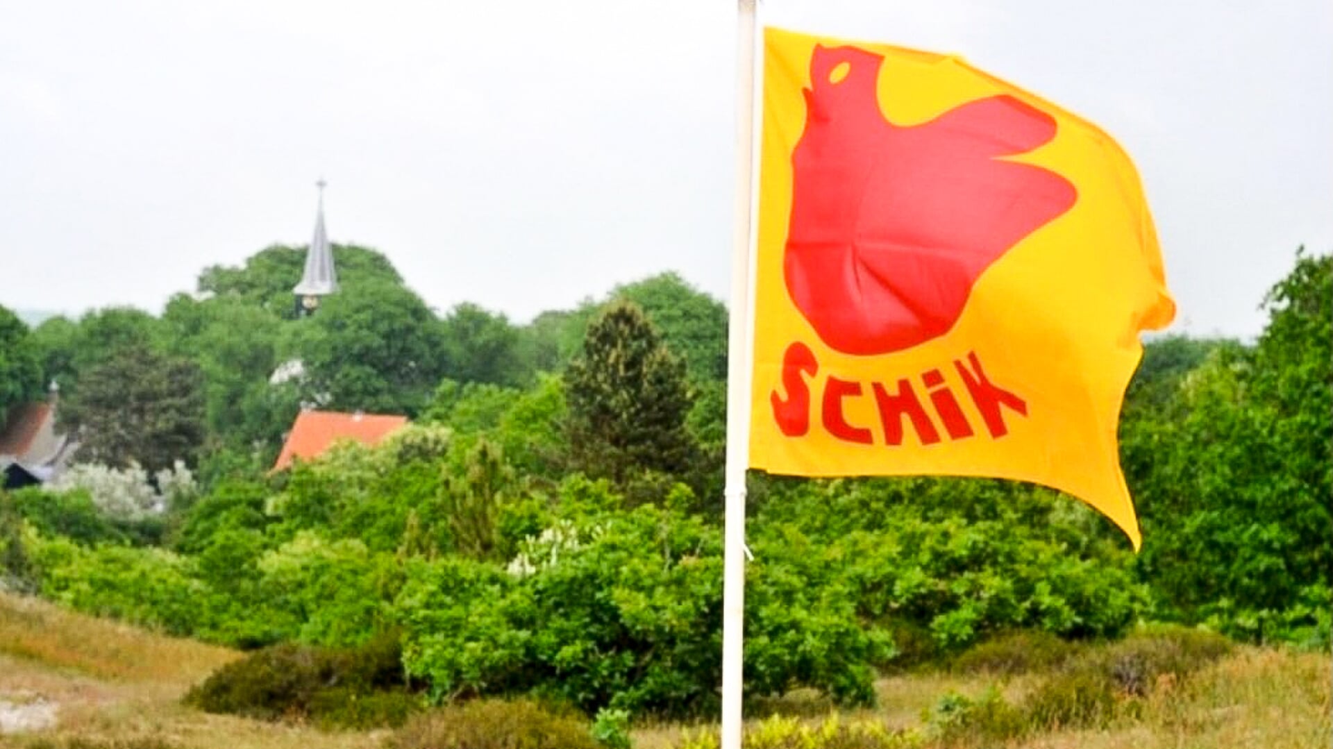 Schik in Kunst komt weer | Rodi