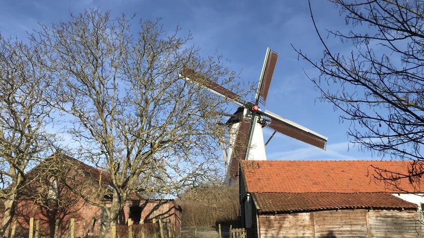 De Stichting Vrienden van de Antoniusmolen staat voor een nieuwe fase ... De Stichting Vrienden van de Antoniusmolen staat voor een nieuwe fase ...