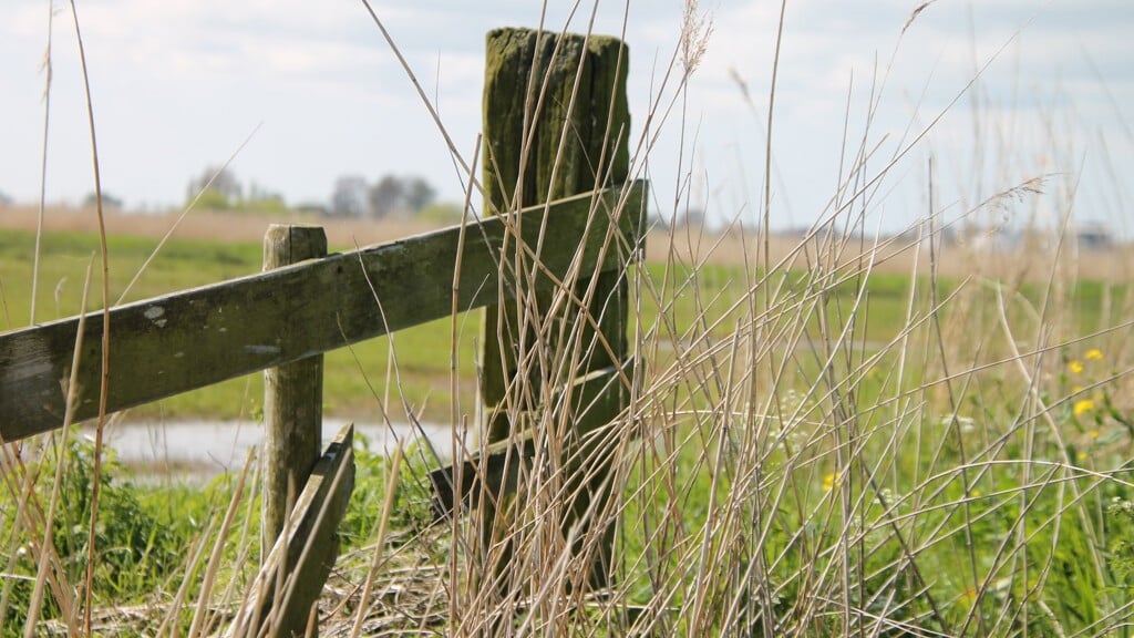 Ruim 11 miljoen euro subsidie naar de regio’s Noordwest-, Zuidwest- en ... Ruim 11 miljoen euro subsidie naar de regio’s Noordwest-, Zuidwest- en ...