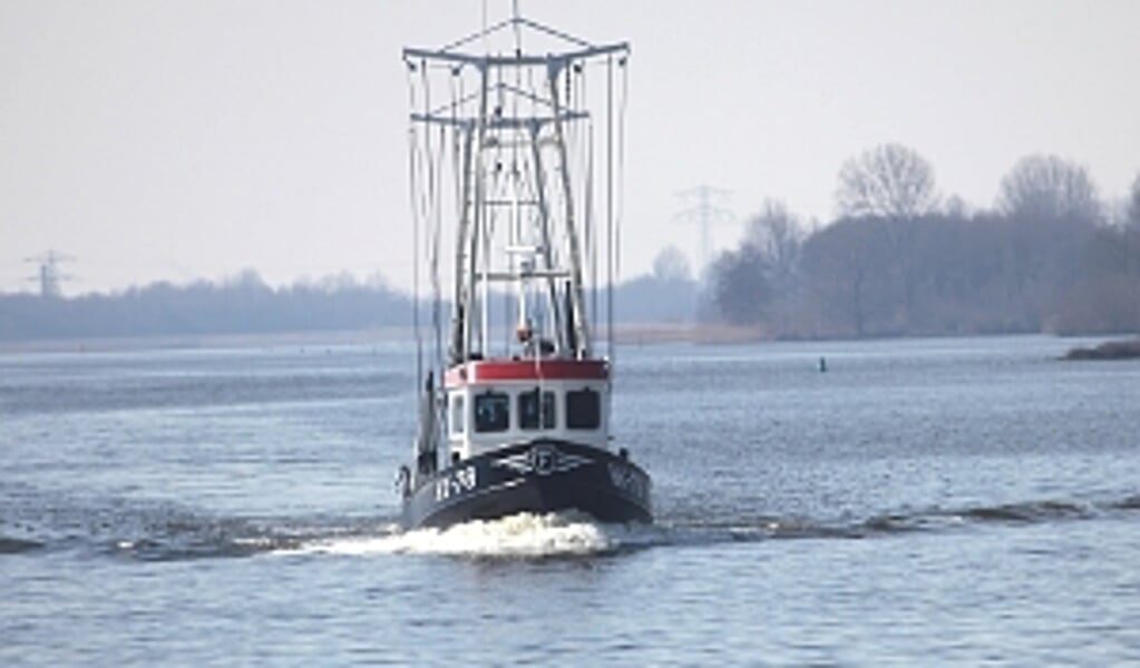 Nieuwe HK 78 Vooral Voor Palingproject Nieuws Voor De Visserijsector nieuwe-hk-78-vooral-voor-palingproject-nieuws-voor-de-visserijsector