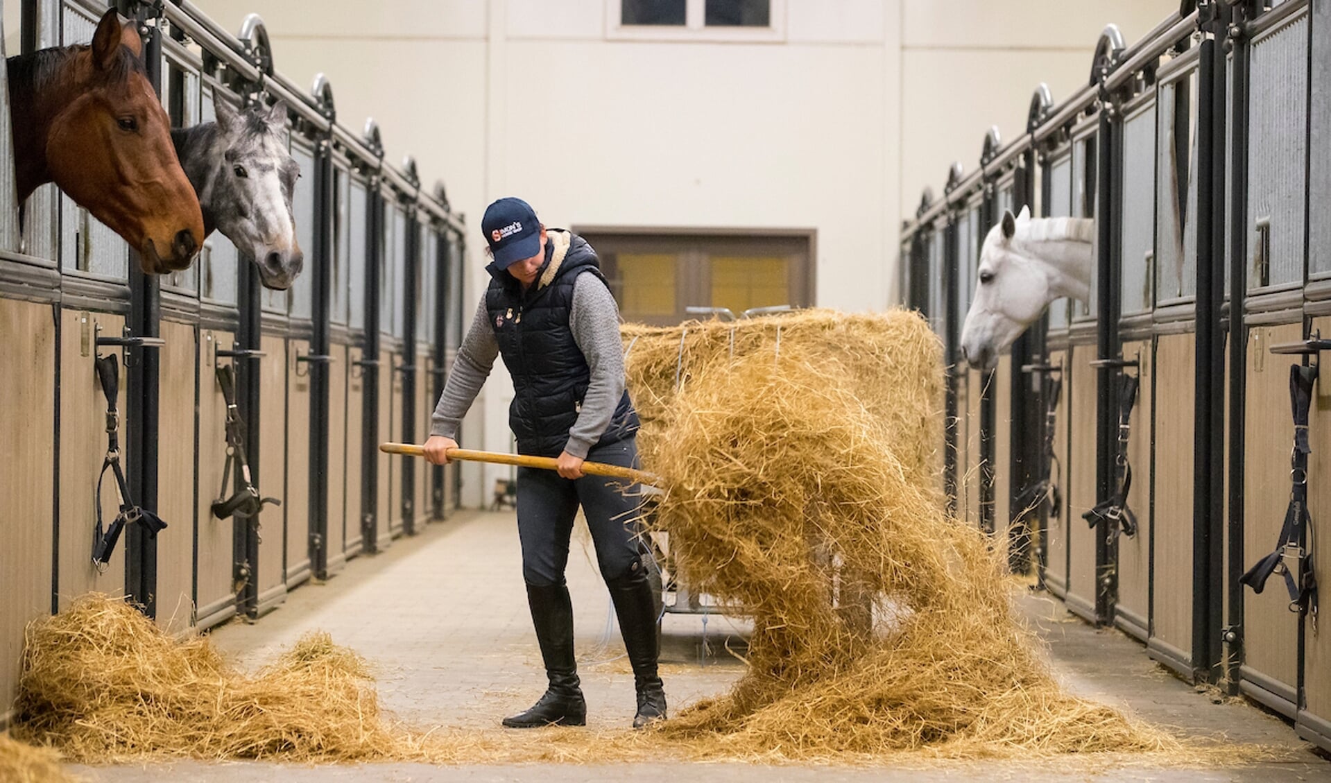 Stal uitmesten, leuk of niet? - Het onafhankelijke paarden(sport)medium Stal uitmesten, leuk of niet? - Het onafhankelijke paarden(sport)medium